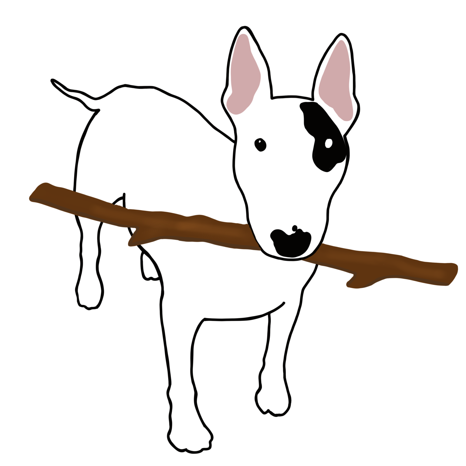 Home - Rex The TV Terrier