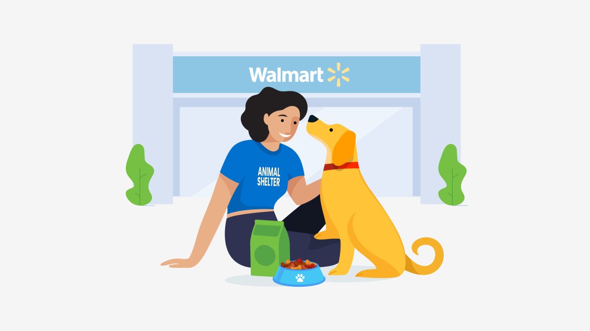 Remembering Best Friends - Rex The TV Terrier